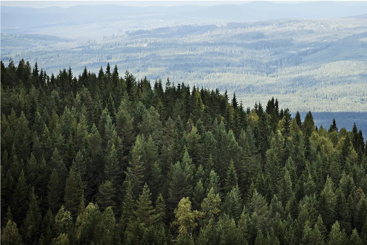 About Us - Blue Ocean Closures